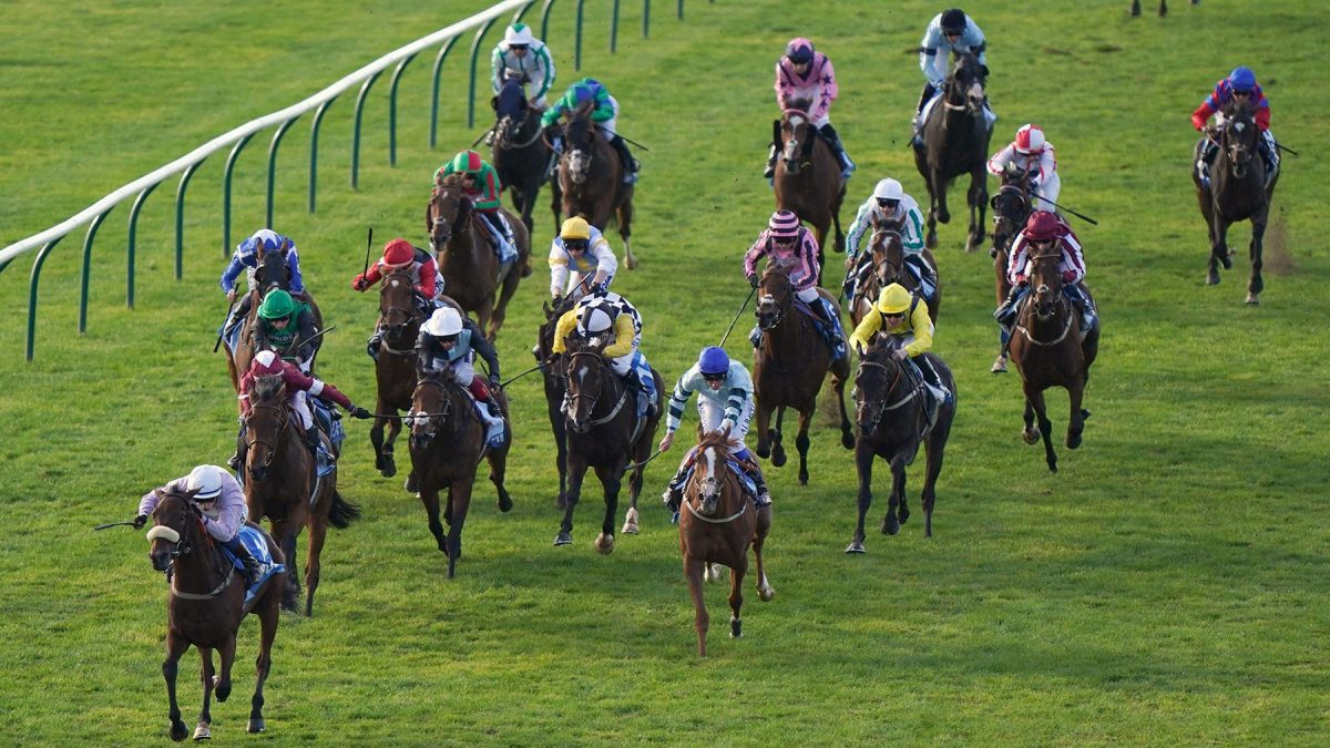 How Is The Evolution Of Digital Horse Racing - Wargame-Rd